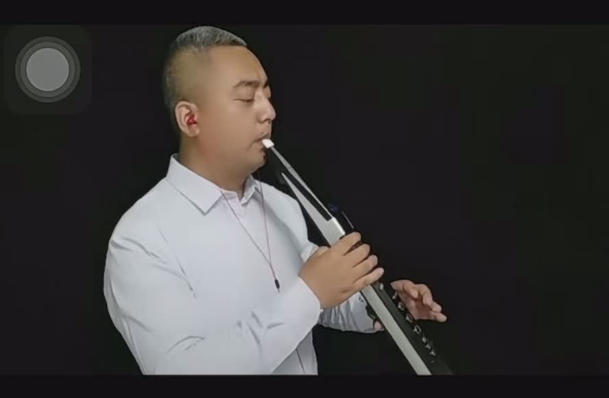 Chinese Cheap Mini Electronic Wind Instrument Microphone Wireless ...