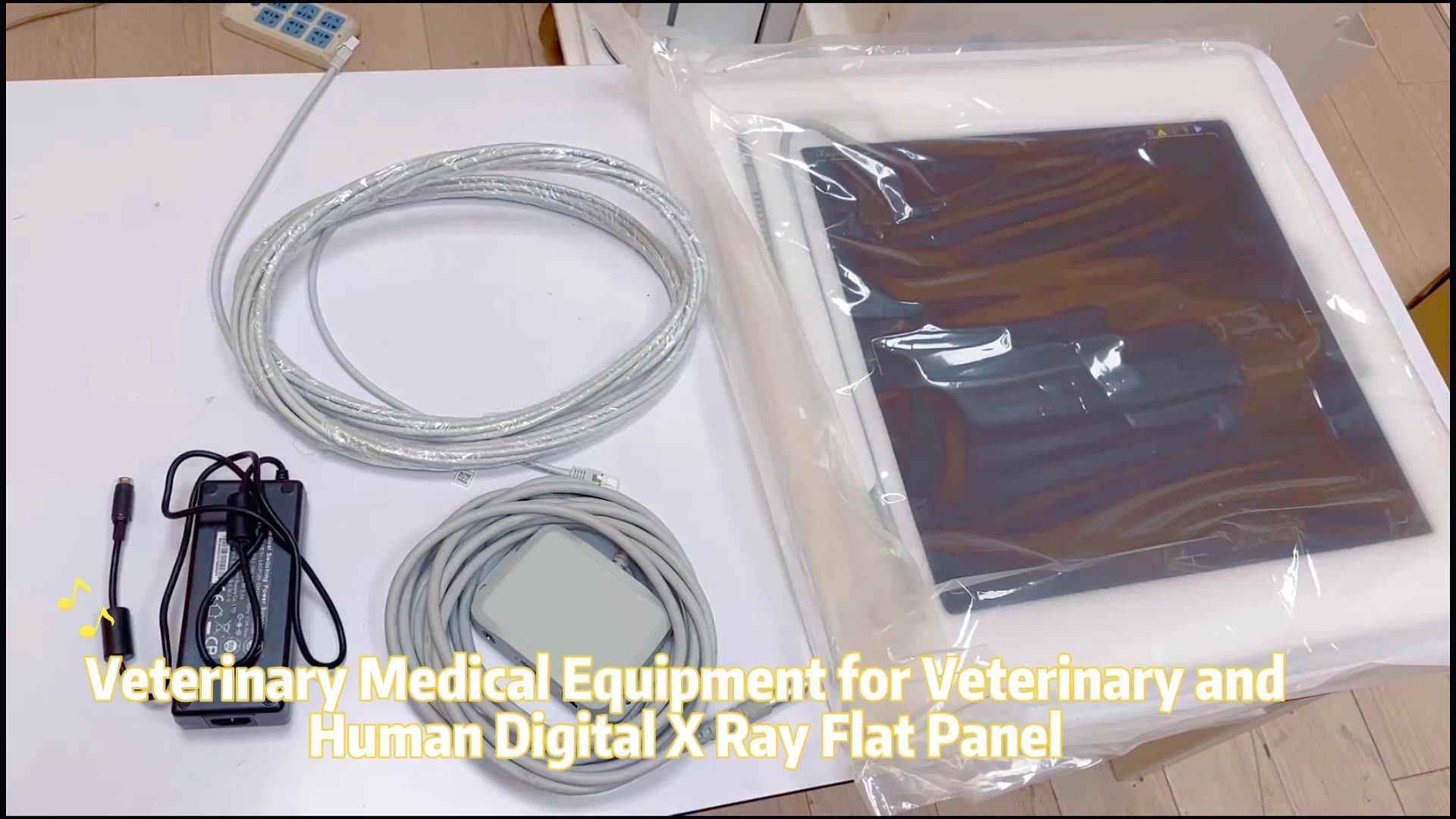 Medical X Ray Flat Panel Detector Veterinary Digital Flat Panel X-ray ...