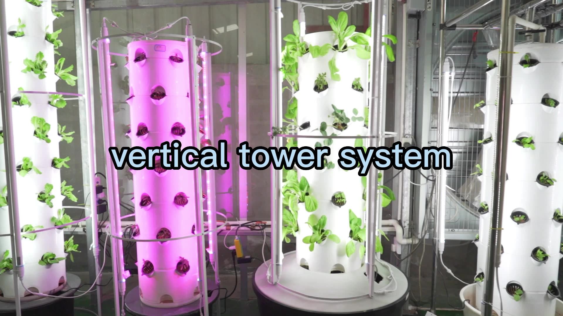 Commercial Hydroponic Greenhouse Aeroponic Tower Garden Vertical ...