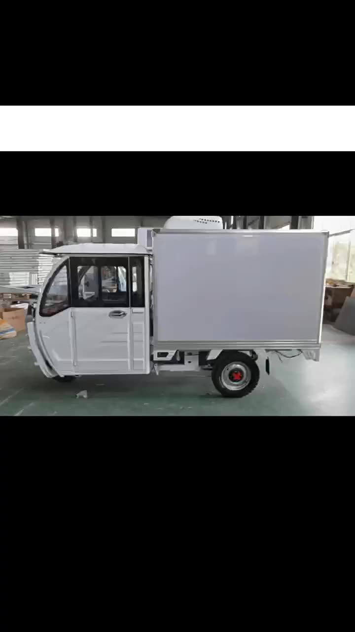 Cold Chain Ice Cream Freezer Box Automatic Mobile Electrical Driven ...