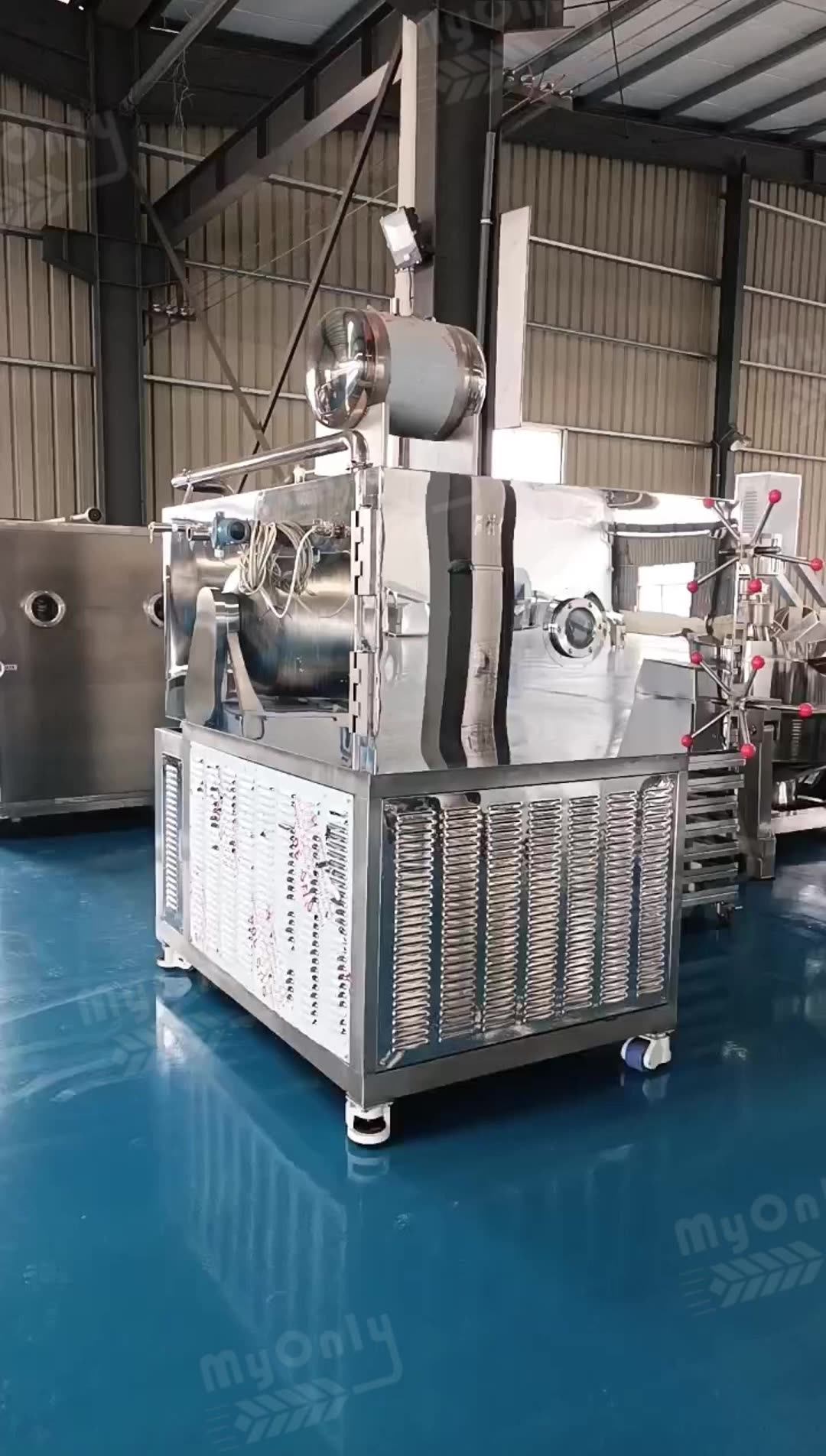 My Liofilizador De Alimentos Cafe Fruit Lyophilizer High Quality Freeze ...