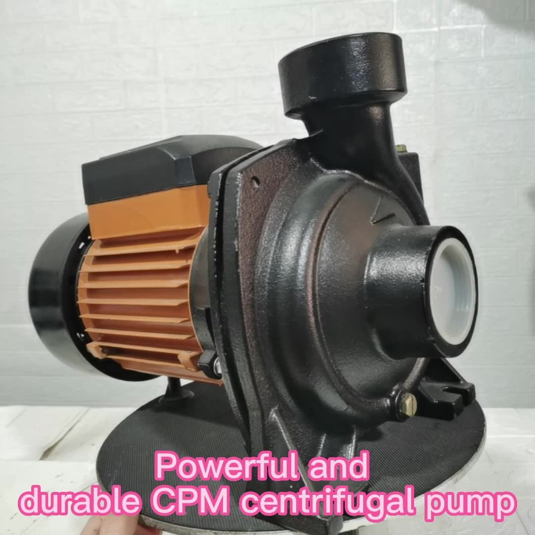 0.3kw Cast Iron Surface Centrifugal Water Pump Iron Bomba De Rega For ...
