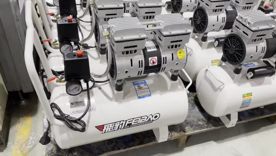 1hp 24l 220v Ac Power Small Silent Oilless Air Compressor With Ce - Buy ...