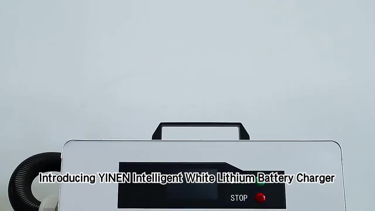 Bsm Forklift Battery Charger 48v 50a 100a 200a Industrial Lithium Ion ...