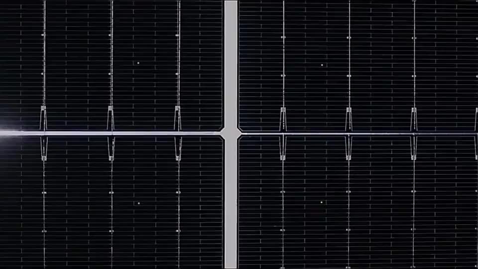 Trina N-type Topcon Bifacial Dual Glass Mono Pv Bifacial Solar Panel Neg19rc.20 For Industrial ...