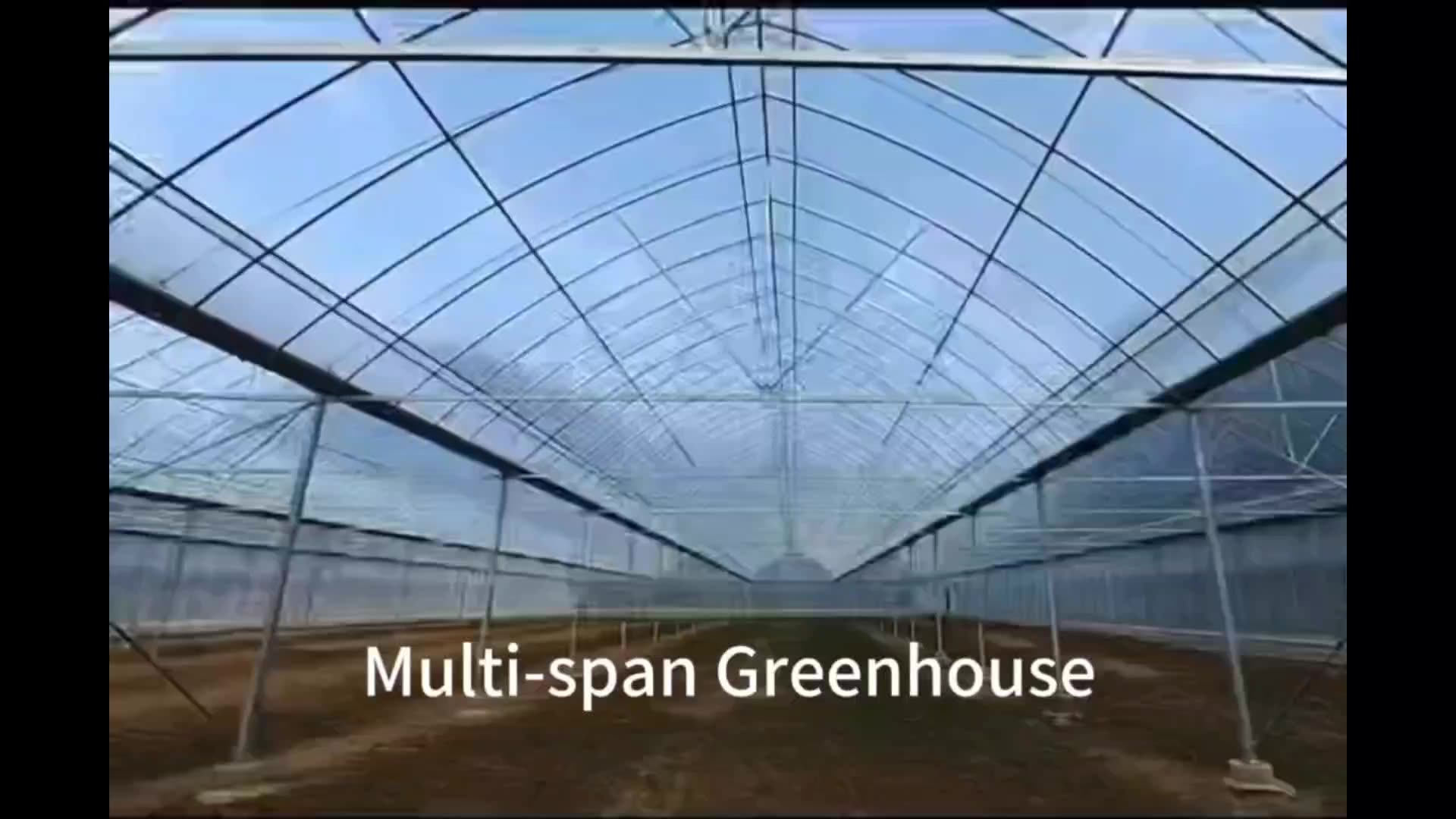 Hot Galvanized Structure Plastic Film Multi-span Greenhouse With High Quality - Buy Muti-span ...