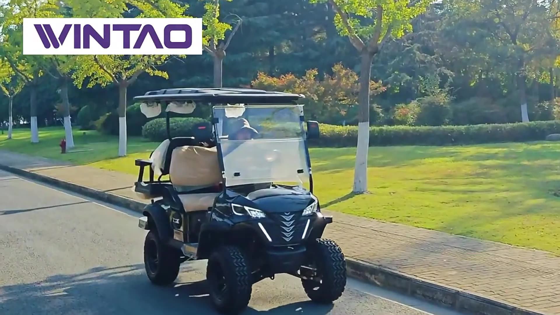 Wintao Newest Design 4x4 Wheel Drive Lifted Electric Golf Kart For ...