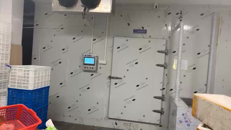 High Quality Approved Insulated Cam Lock Pu Sandwich Panel For Cold ...