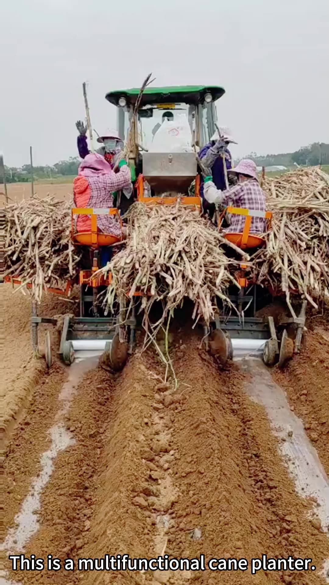 Newly Design 2 Rows Sugar Cane Planting Machine Tractor Mounted ...