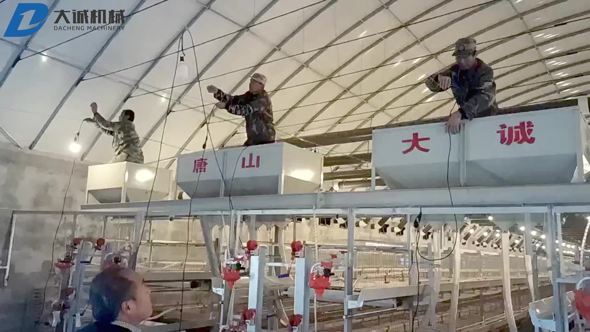 Advanced Design Automatic Poultry Farm Animal Battery Chicken Cages ...