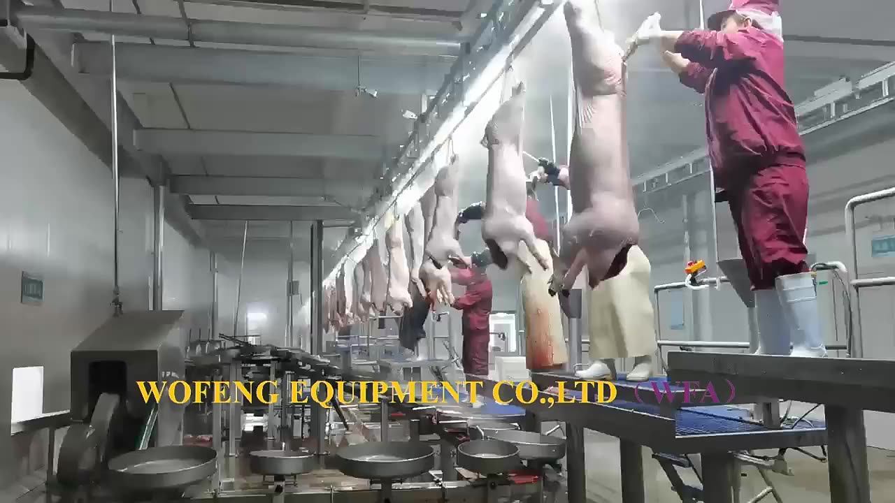 Automatic Pig Abattoir Equipment Slaughterhouse Pork Slaughter ...