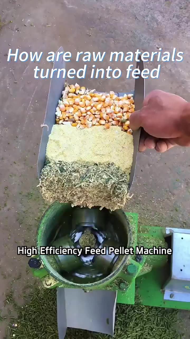 Small Mini Diesel Animal Cow Dung Pelletizer Rabbit Food Feed Pellet ...