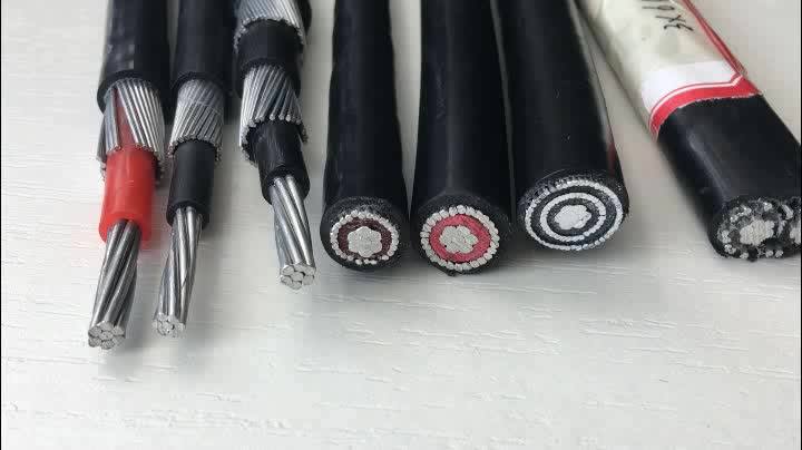 2 Core Aluminum/copper Conductor Concentric Cable Xlpe/pe Insulated ...