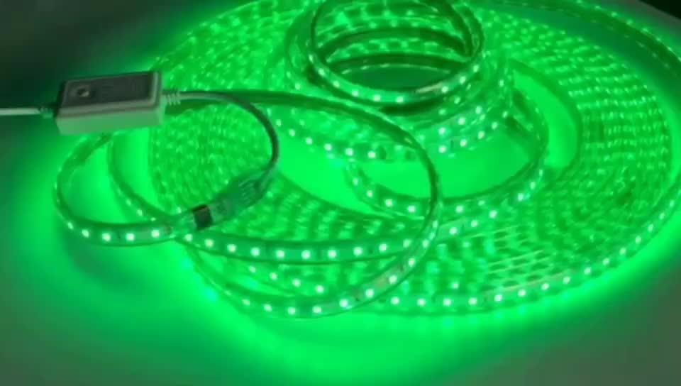 24v 220v 230v 5050 Rgb Outdoor Underwater Led Strip Light Ip68 - Buy ...