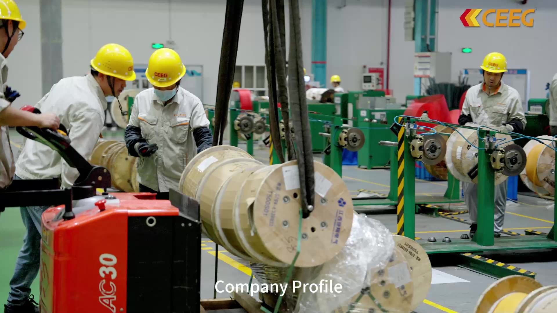 63mva 110kv Ceeg Distribution 3 Phase Electric Power High Voltage Oil ...