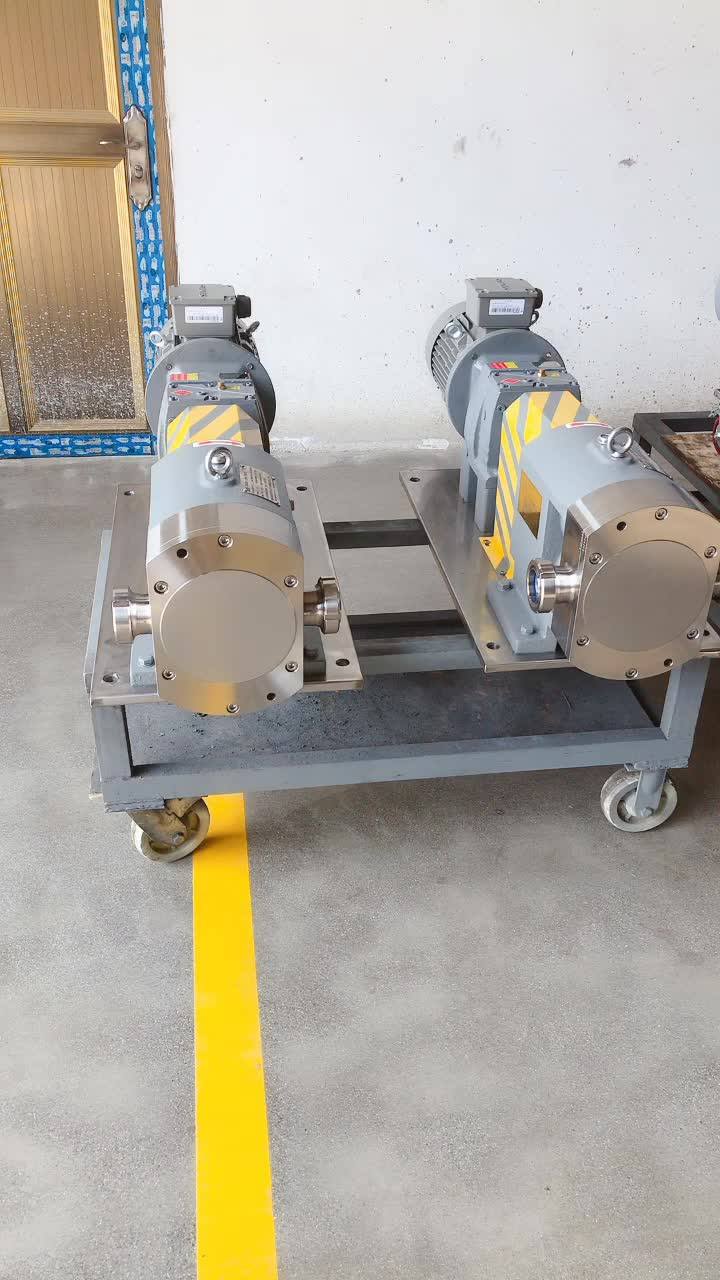 Stainless Steel Variable Speed Control Rotary Lobe Pump Positive ...