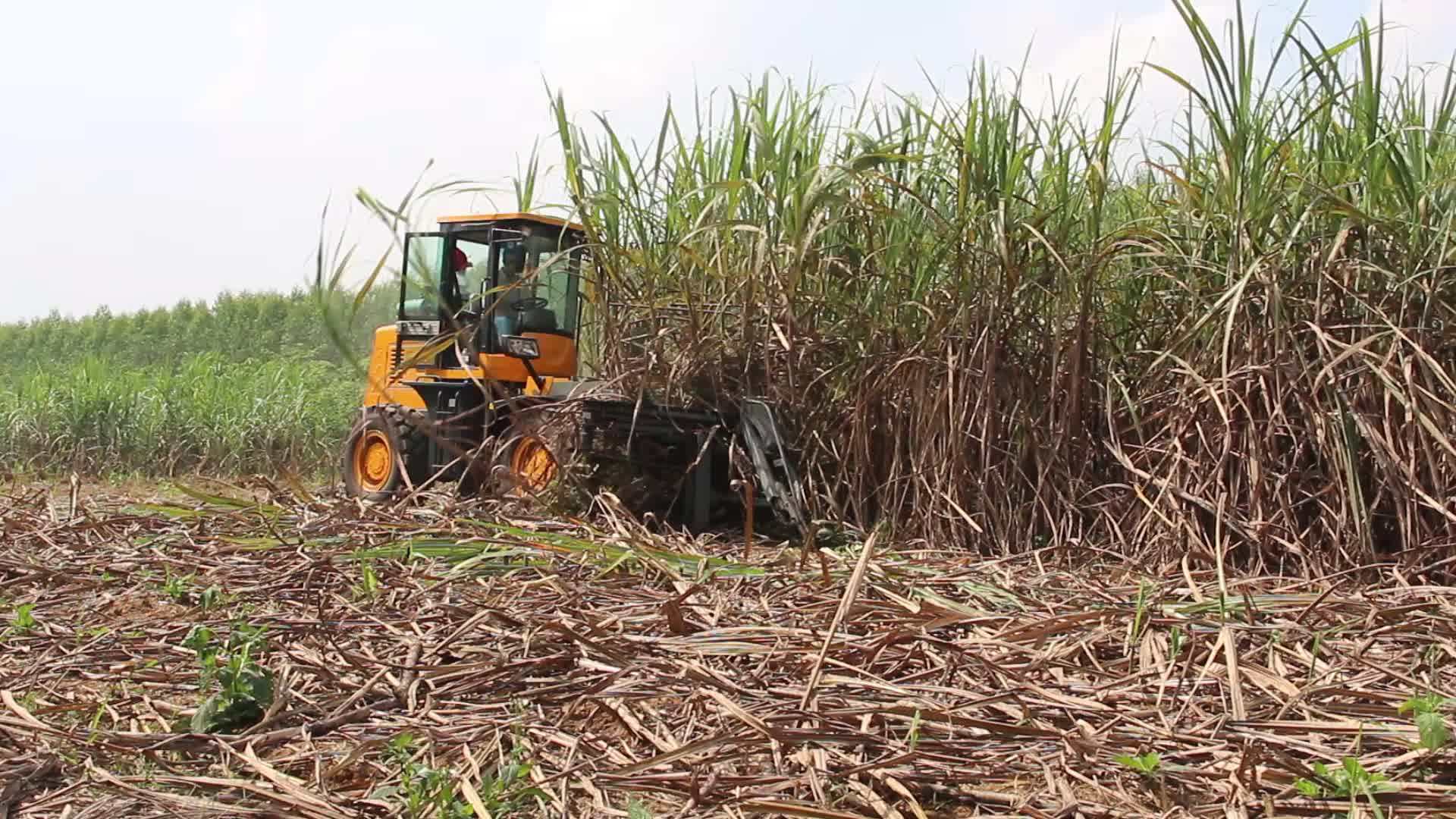 Advantage Technical Self-propelled Sugarcane Cutting Machine ...