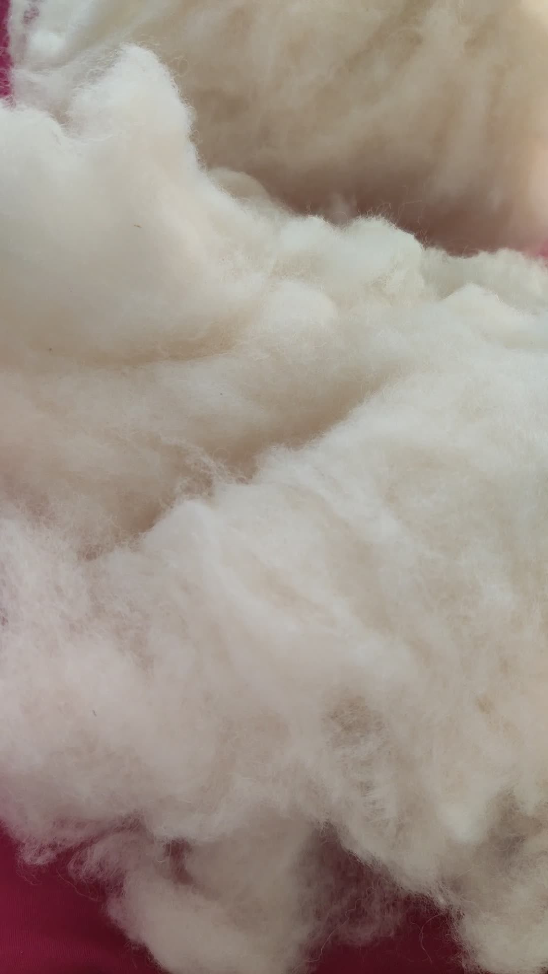Scoured Sheep Wool,100% Sheep Cashmere,Carded Wool For Garment,Quilt ...