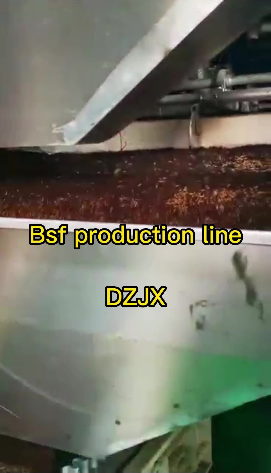 Dzjx Industrial Compost Vermicompost Rotating Sieve Machinery Bsf ...