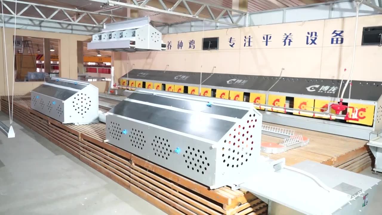 Automatic Feed Animal Machine System For Hens Poultry Automatic Feeding ...