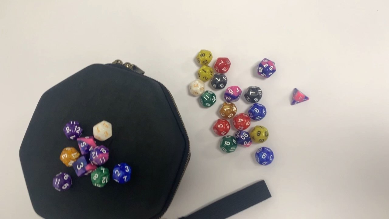 Large Capacity Dnd Dice Organizer Cases D6 D20 Dice Set Case For ...