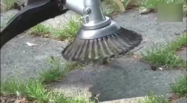 Stainless Steel Wire Circular Twisted Disc Cleaning Brush 8" Brass ...