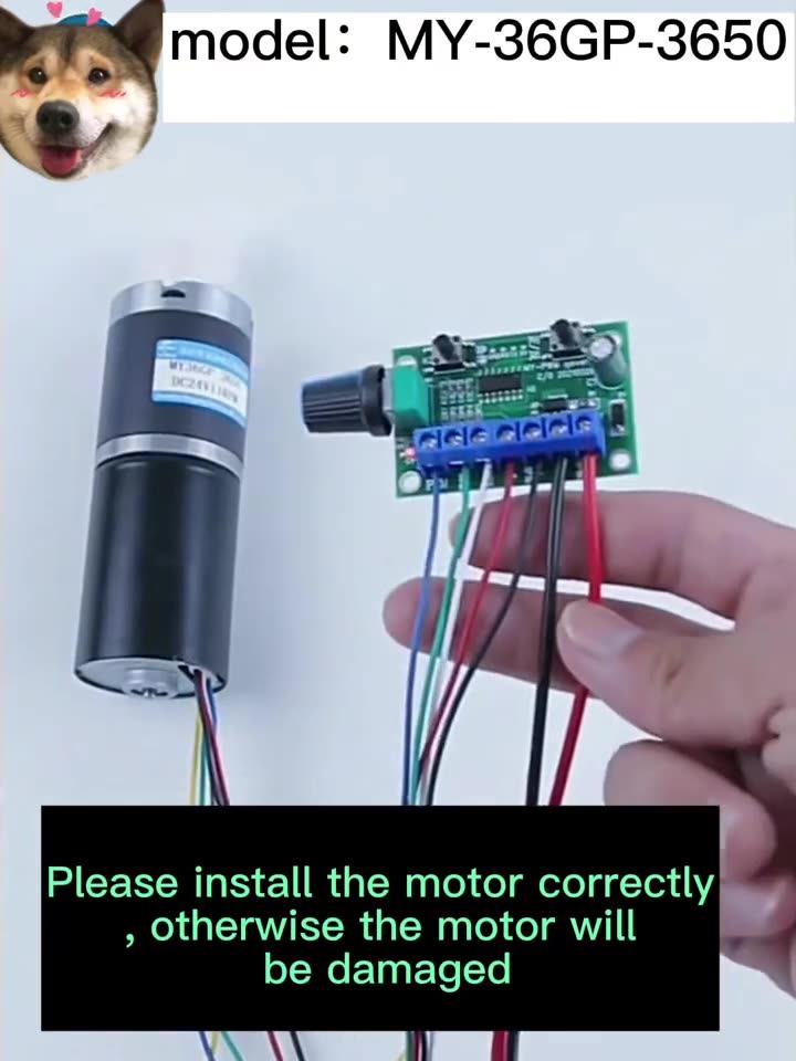 12v 24v 36mm Dc Planetary Gear Motor With Bracket 6-wire With Brake ...