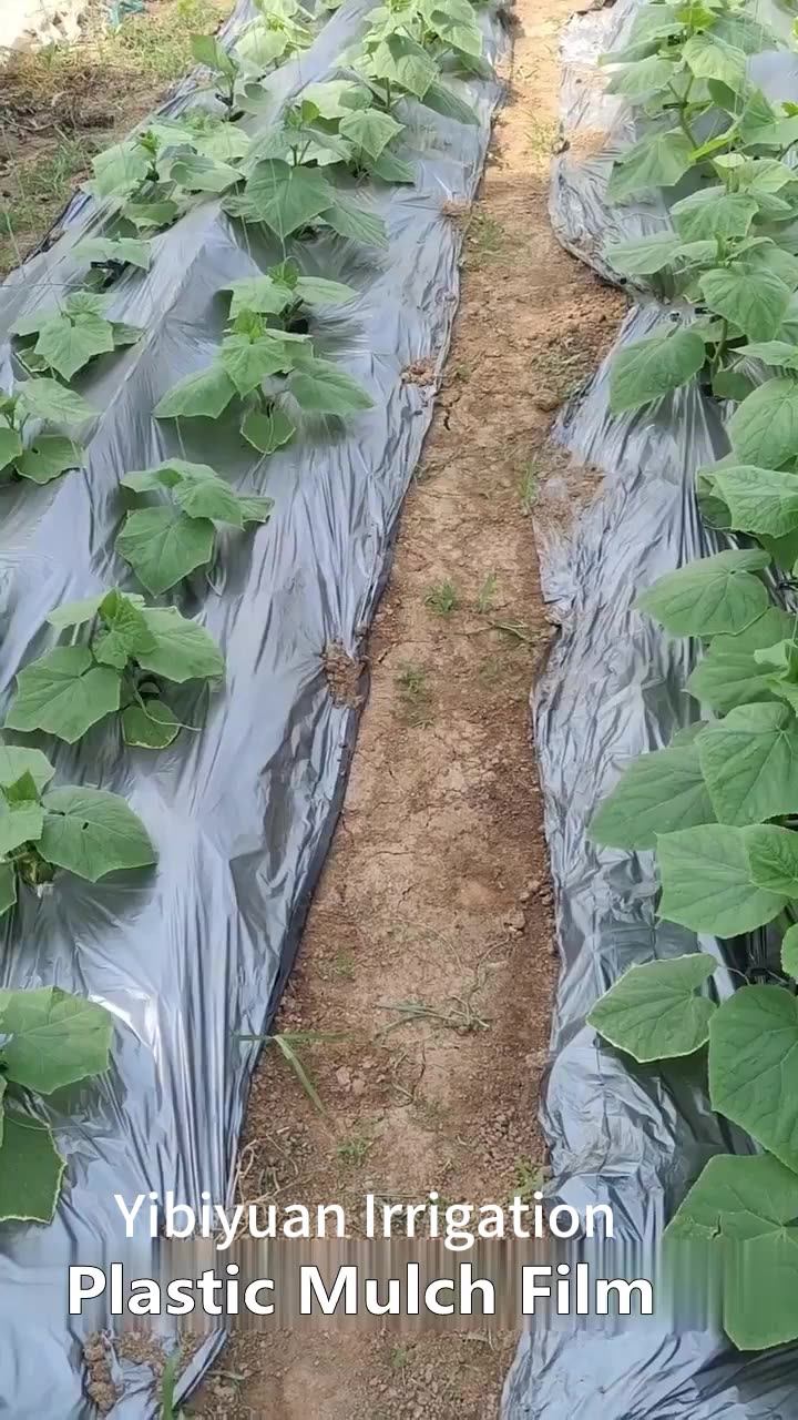 Ground Plastic Mulch Film Black And Silver Reflective Plastic Mulch ...
