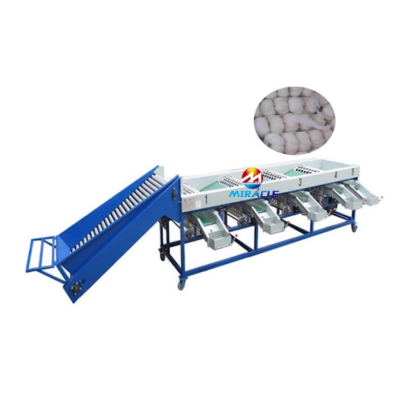 Sorting And Cleaning Onion Sorting Machine/fruit Vegetable Orange ...