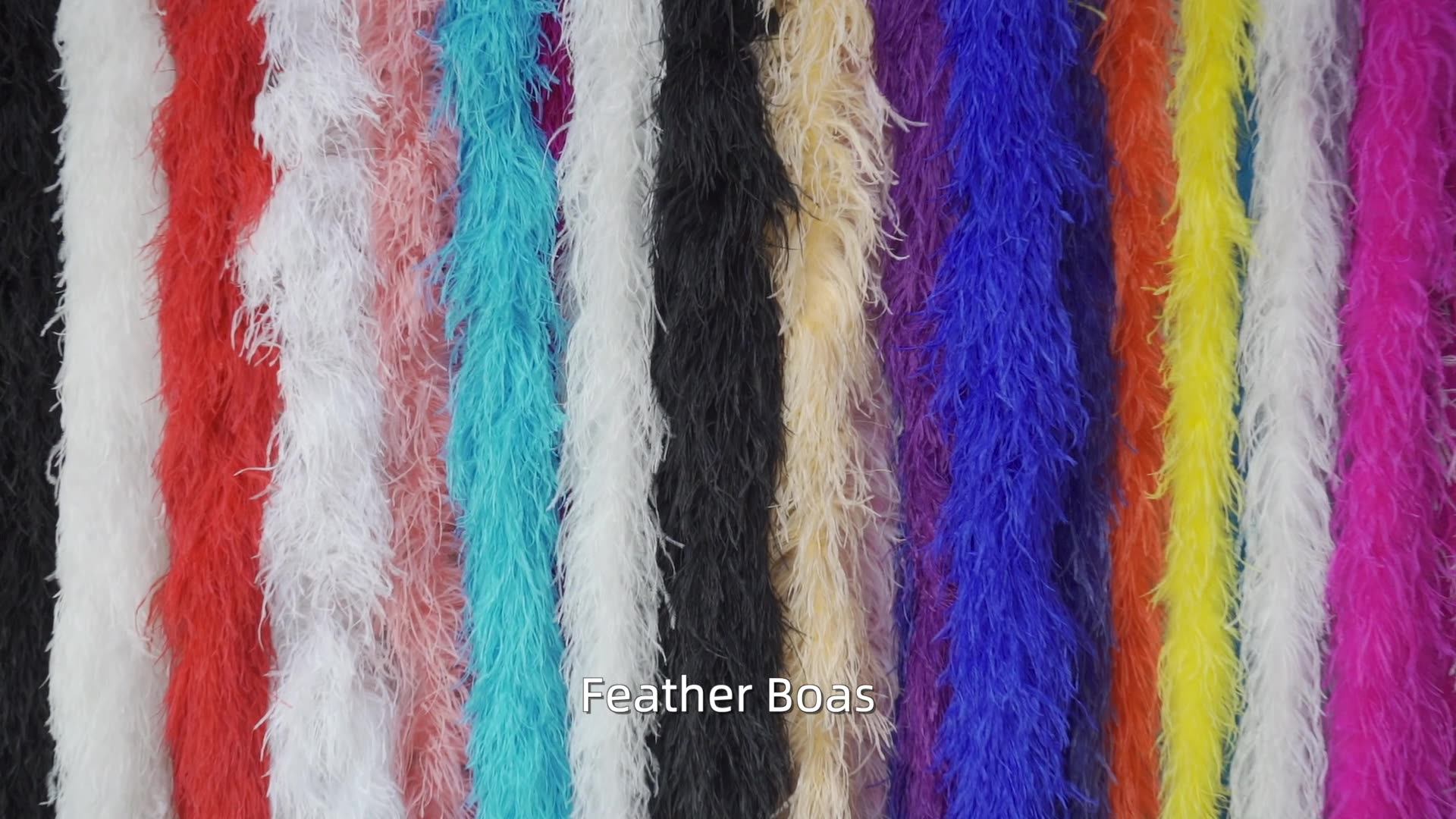 Long Feather Robe 20 Ply Ostrich Feather Boa For Sexy Feather Dress ...