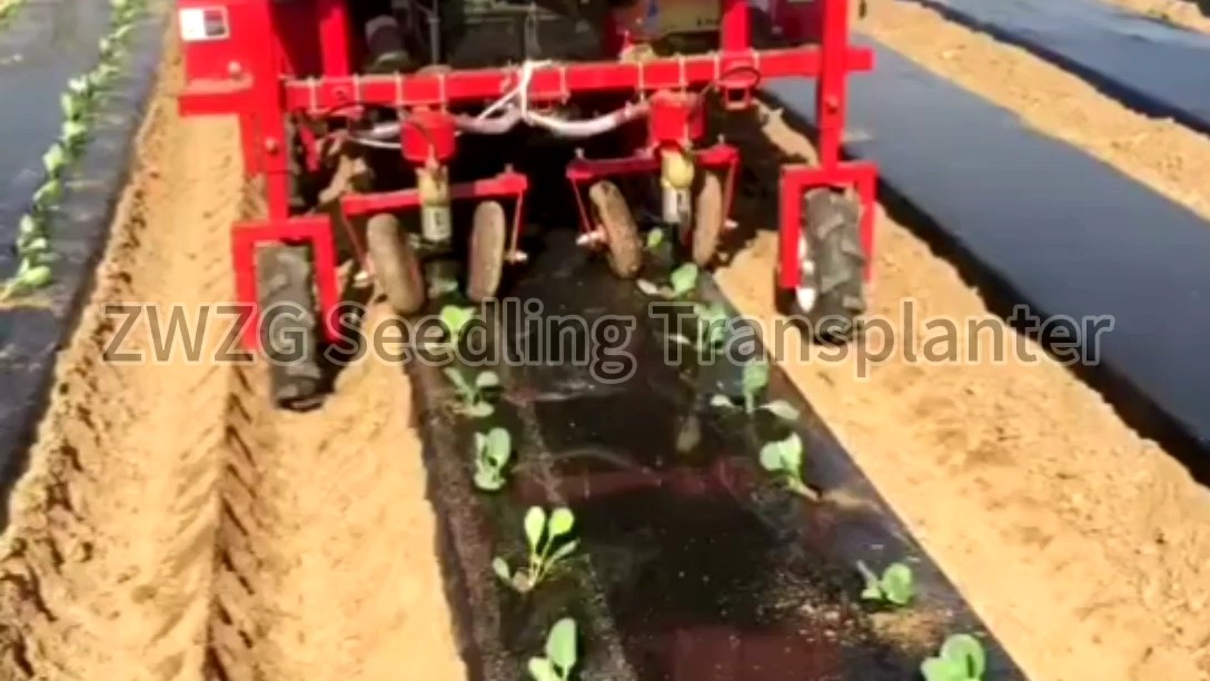 2zbx-4a Tractor-drawn Vegetable Seedling Transplanter Cabbages Planting ...