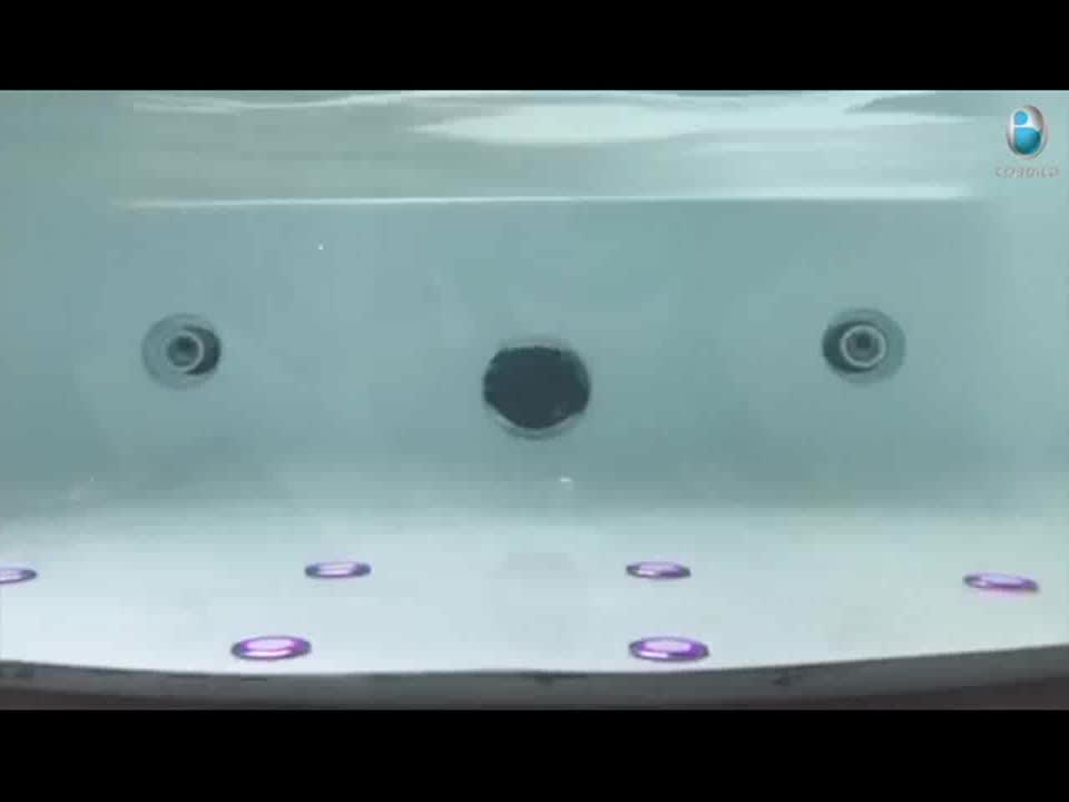 2 Person Acrylic Corner Spa Massage Whirlpool Hot Bath Tub Air Jetted ...