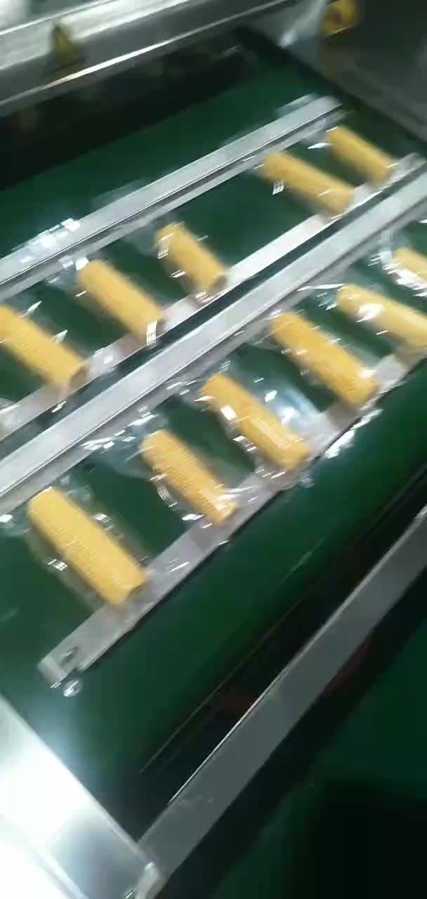 Food Factory Pie Meat Patty Sausage Vacuum Packing Machine Carrot ...