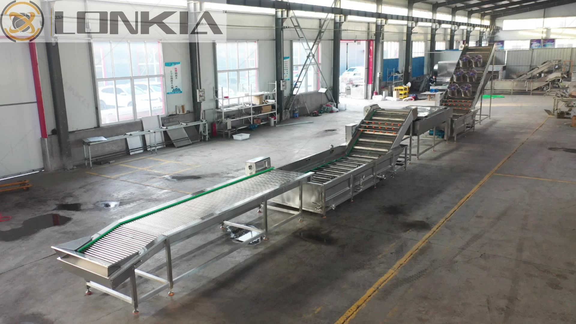 Complete 500kgs Mango Pulp Washing Sorting Machine Pineapple Peeling ...