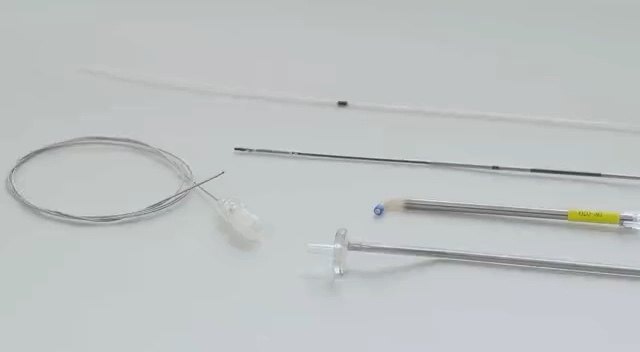 Ent Sinus Balloon Dilatation Nasal Polyps Guide Wire - Buy Fess ...