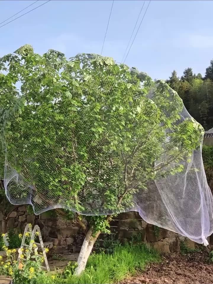 Agricultural Hdpe Insect Proof Net Bird Proof Net Orchard Protection ...