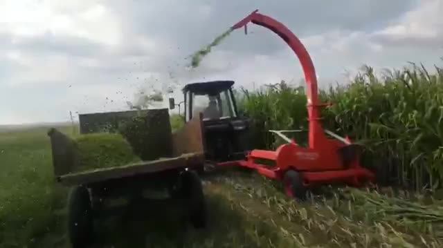 Tractor Mounted Napier Grass Cutter Corn Silage Forage Harvester With ...