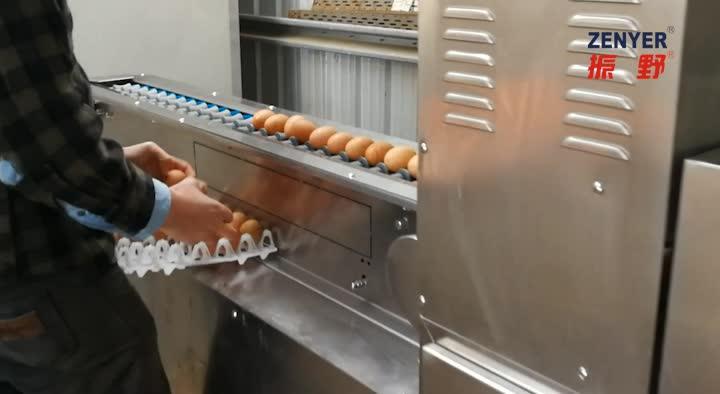 Automatic Feeding Egg Washing Machine,Egg Drying Machine,Egg Washer ...