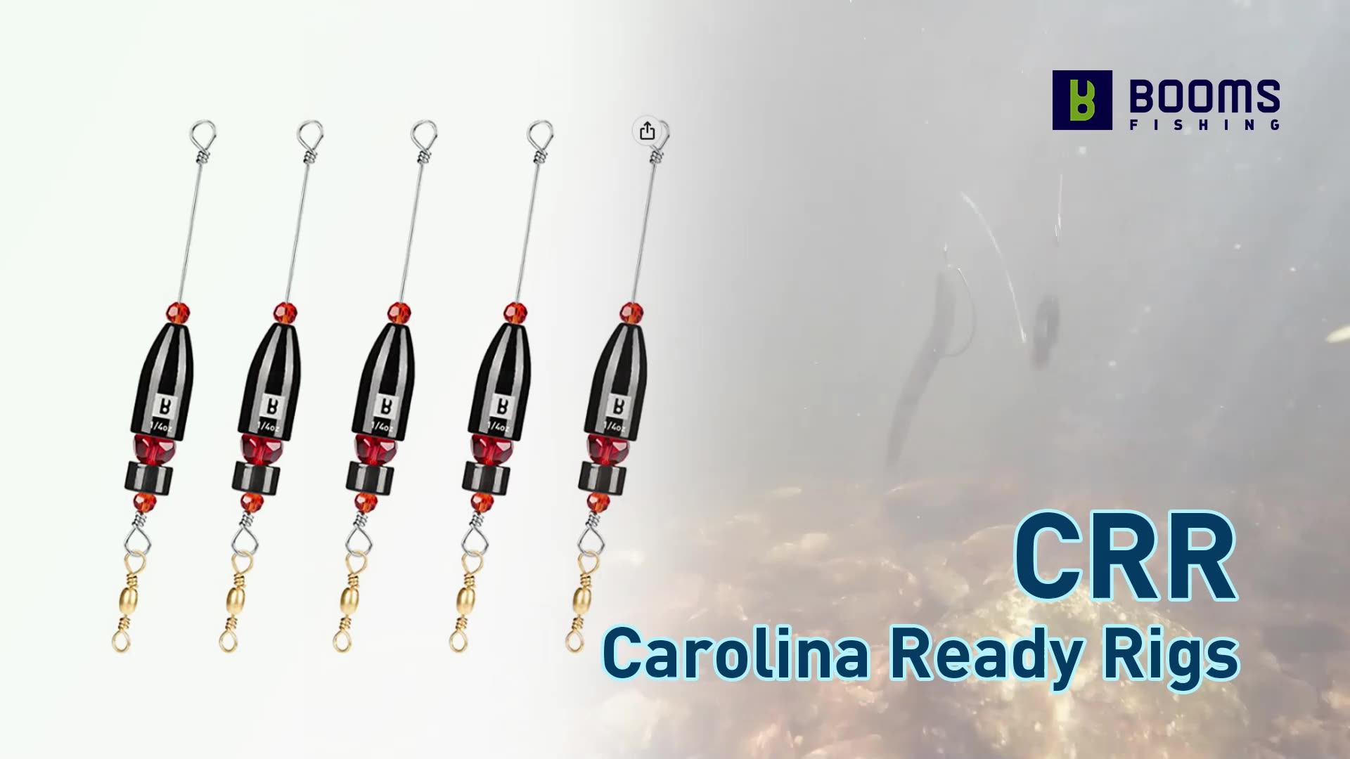 5pcs Brass Pre Rigged Carolina Rigs Kit Crr Fishing Weights Bullet ...