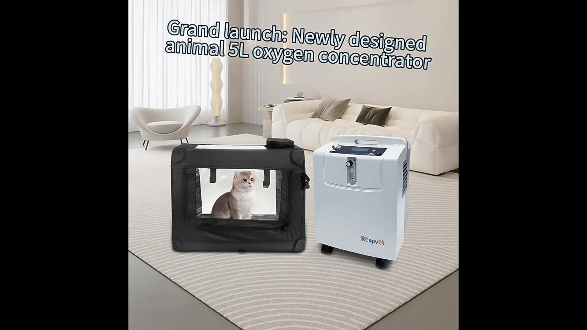 Longfian Portable 5l Veterinary Oxygen Concentrator,Providing Oxygen ...