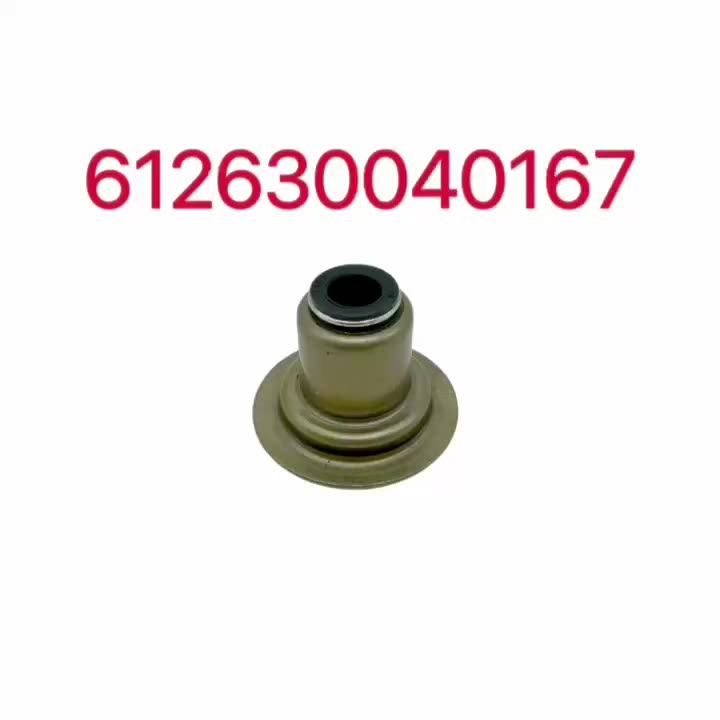 Genuine Best-selling Wp12 Accessories Valve Oil Seal 612630040167 - Buy ...