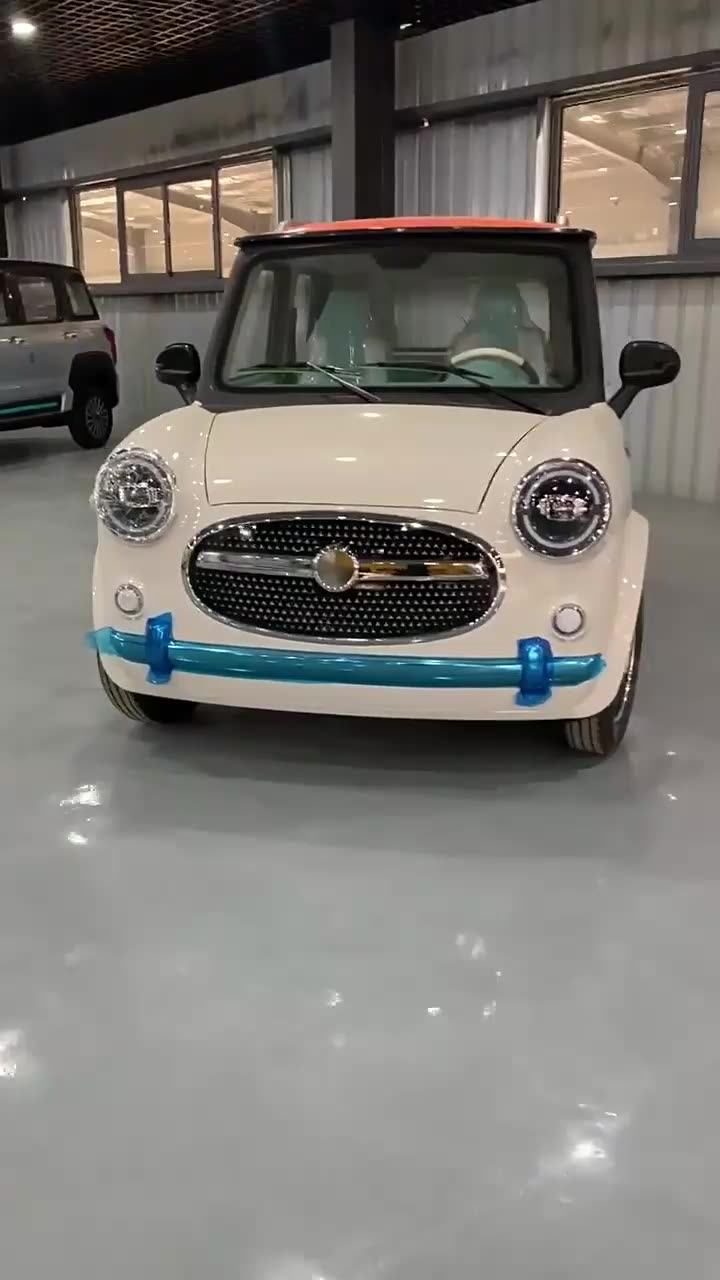 4 Seater Electric Car Adult Vehicles Without Battery 4 Wheels Enclosed ...