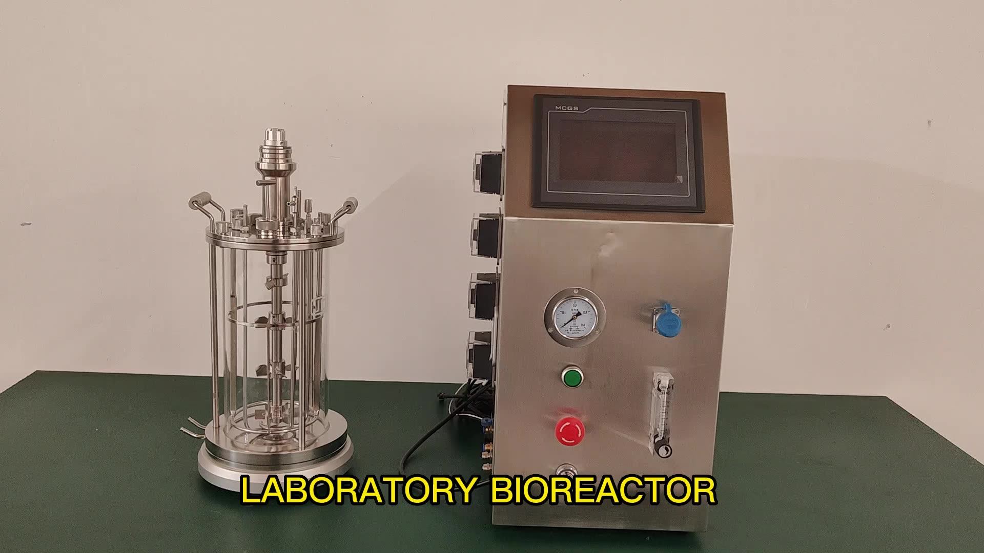 Laboratory Borosilicate Glass Cell Culture Fermenter Bioreactor 10l ...