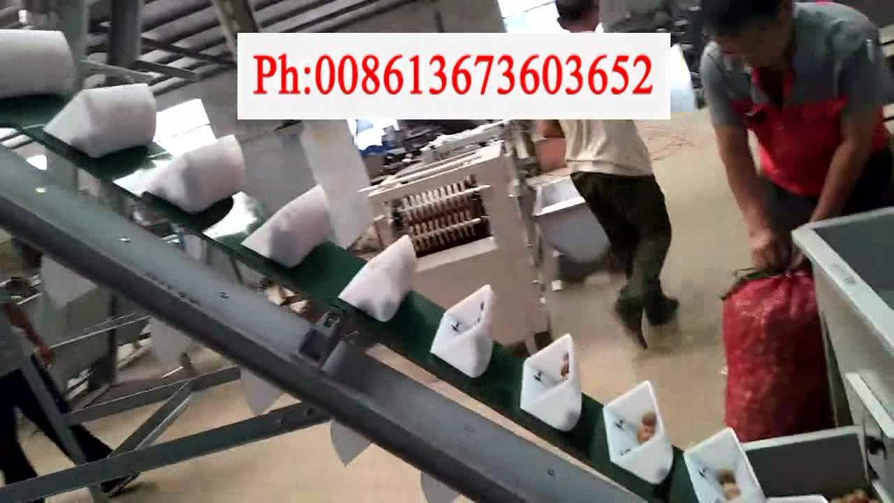Automatic Dehusker Palm Huller Filbert Cracking Hazelnut Cracker Pistachio Shelling Almond Shell ...