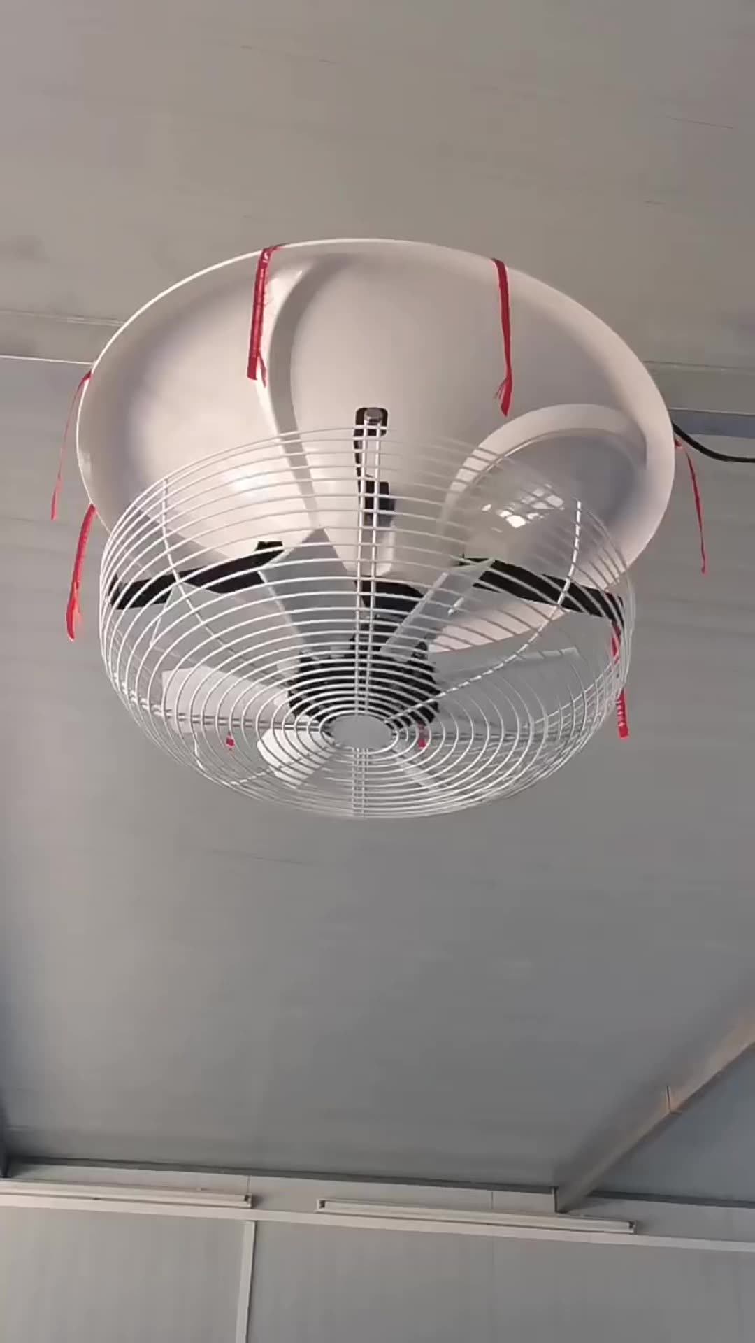 Vertical Circulation Industrial Thailand Axial V Flo Fan For Medical ...