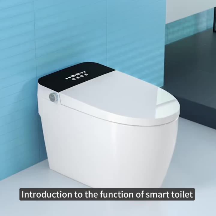 Factory Direct Sale Smart Toilet One Piece Electric Heating Sensor ...