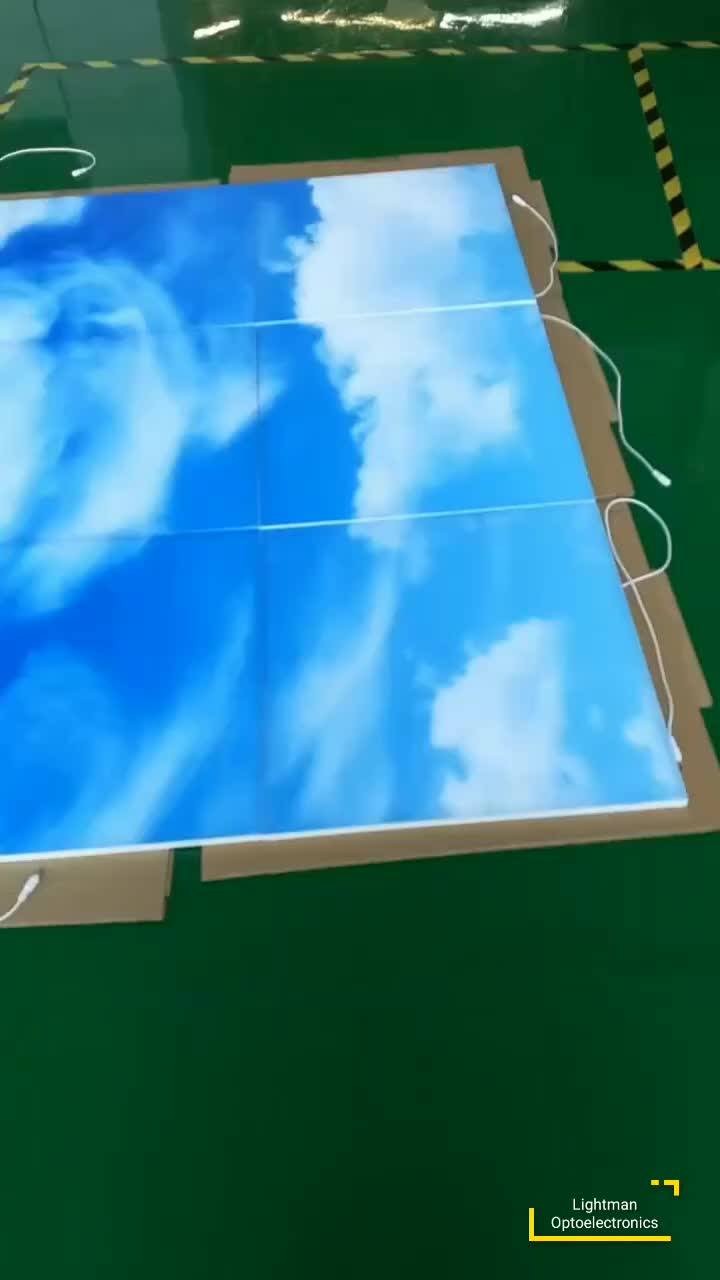 Faux Decorative Ceiling Skylight 20w 40w 30x30 60x60cm Sky Frameless ...