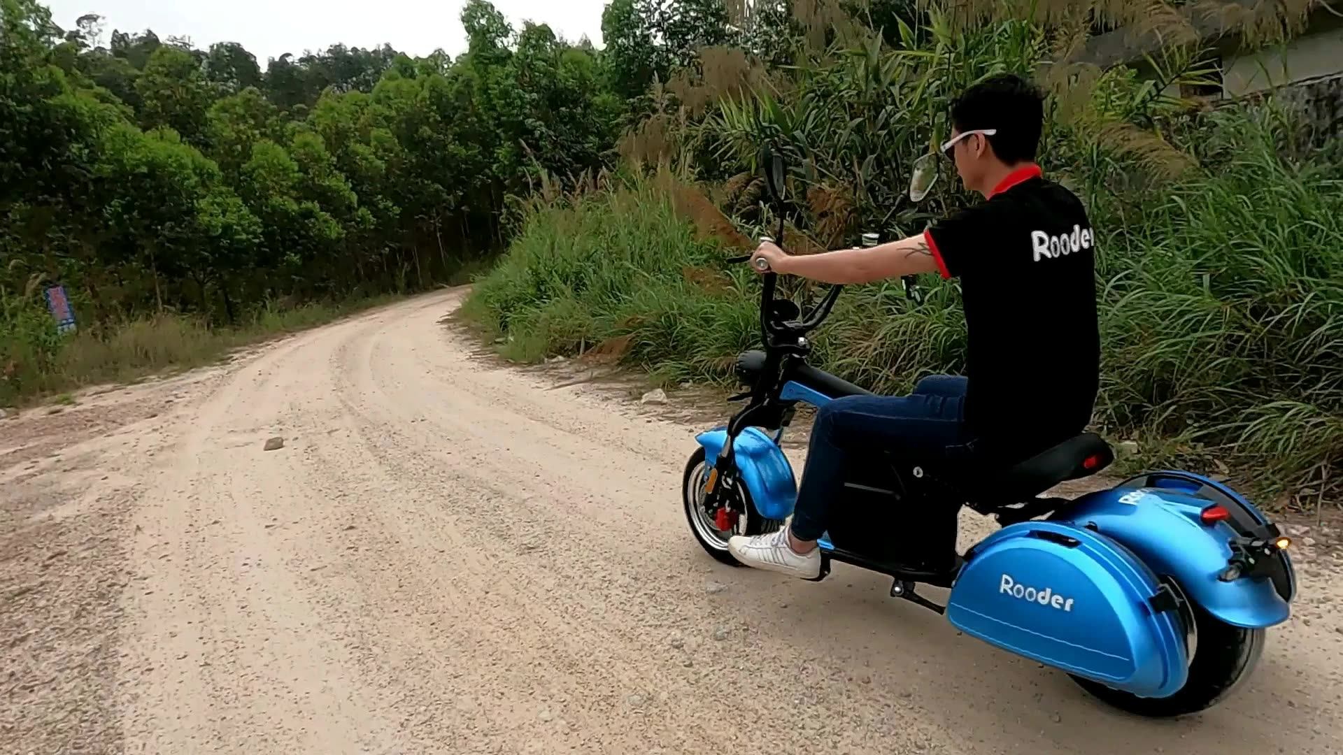 Mangosteen Electric Bike Rooder M1ps Citycoco Chopper 2000w 50ah - Buy ...
