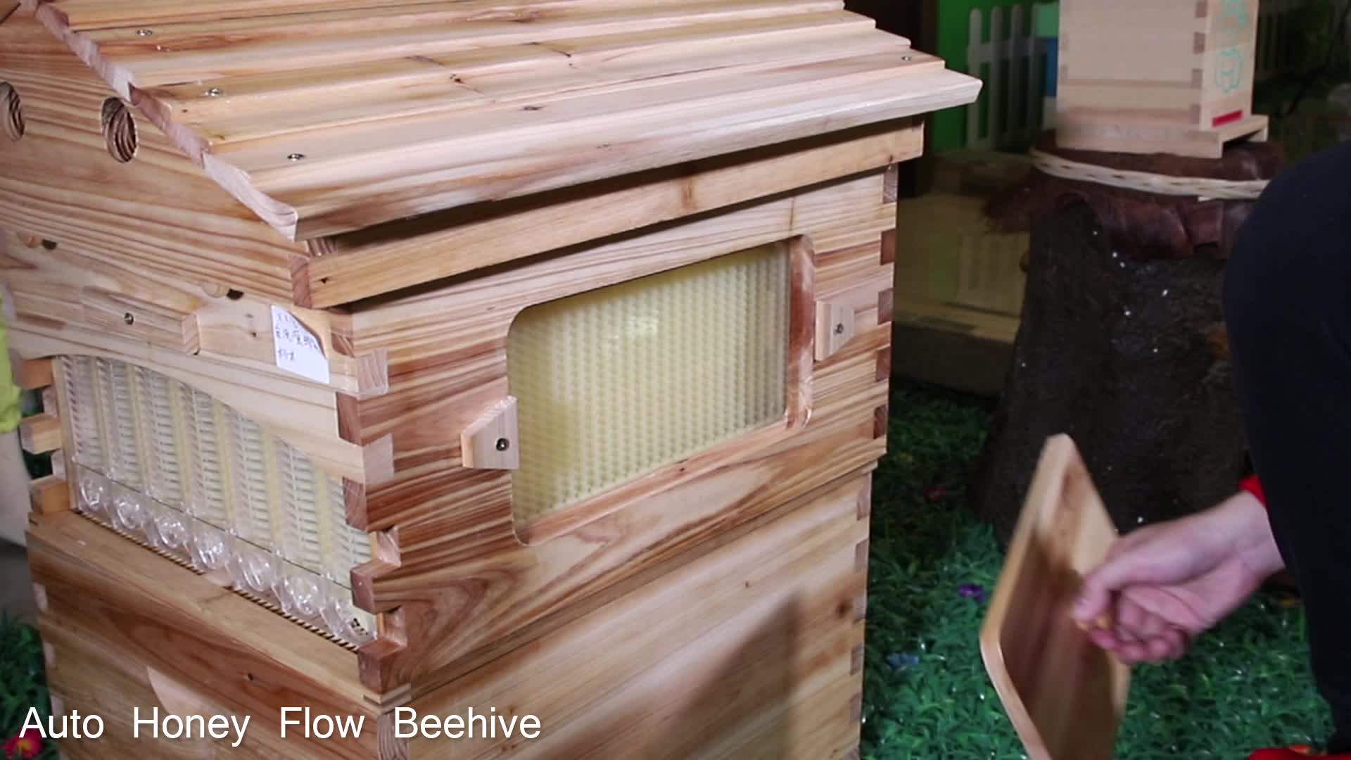 Hot Sale Hive Box Langstroth Beehive 10 Frames Multifunctional ...