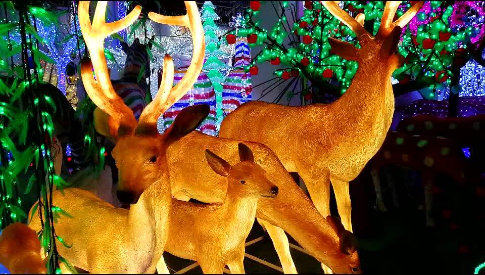 Christmas 3d Motif Lighted Animated Polar Bear Family Led 3d Animal ...